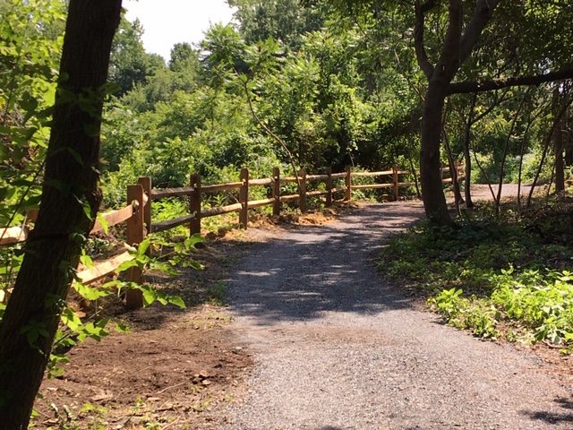 Lake Mansfield Homepage | Great Barrington Land Conservancy