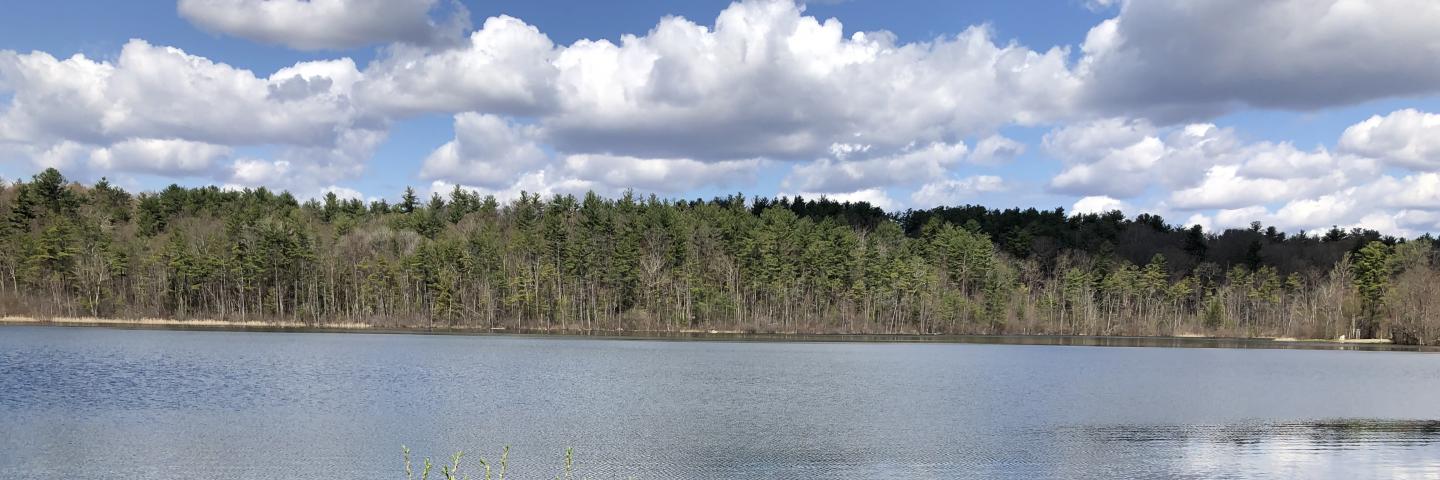 Lake Mansfield Homepage | Great Barrington Land Conservancy